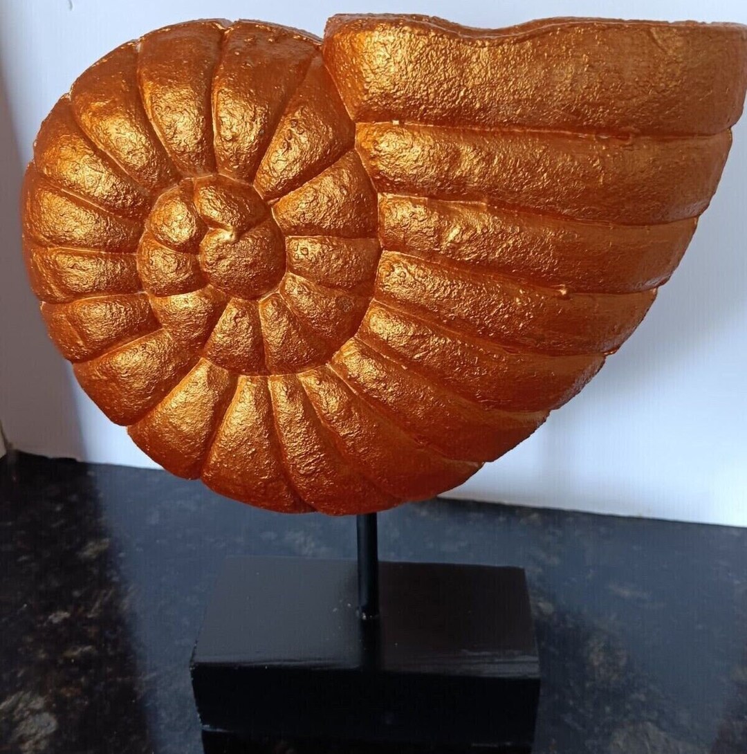 Faux Gold Nautilus Shell on Wooden Stand - Etsy