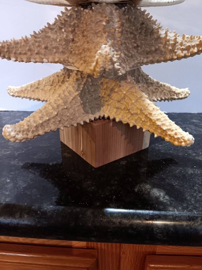 Large Knobby Star Fish Christmas Tree on Cedar Block - Etsy