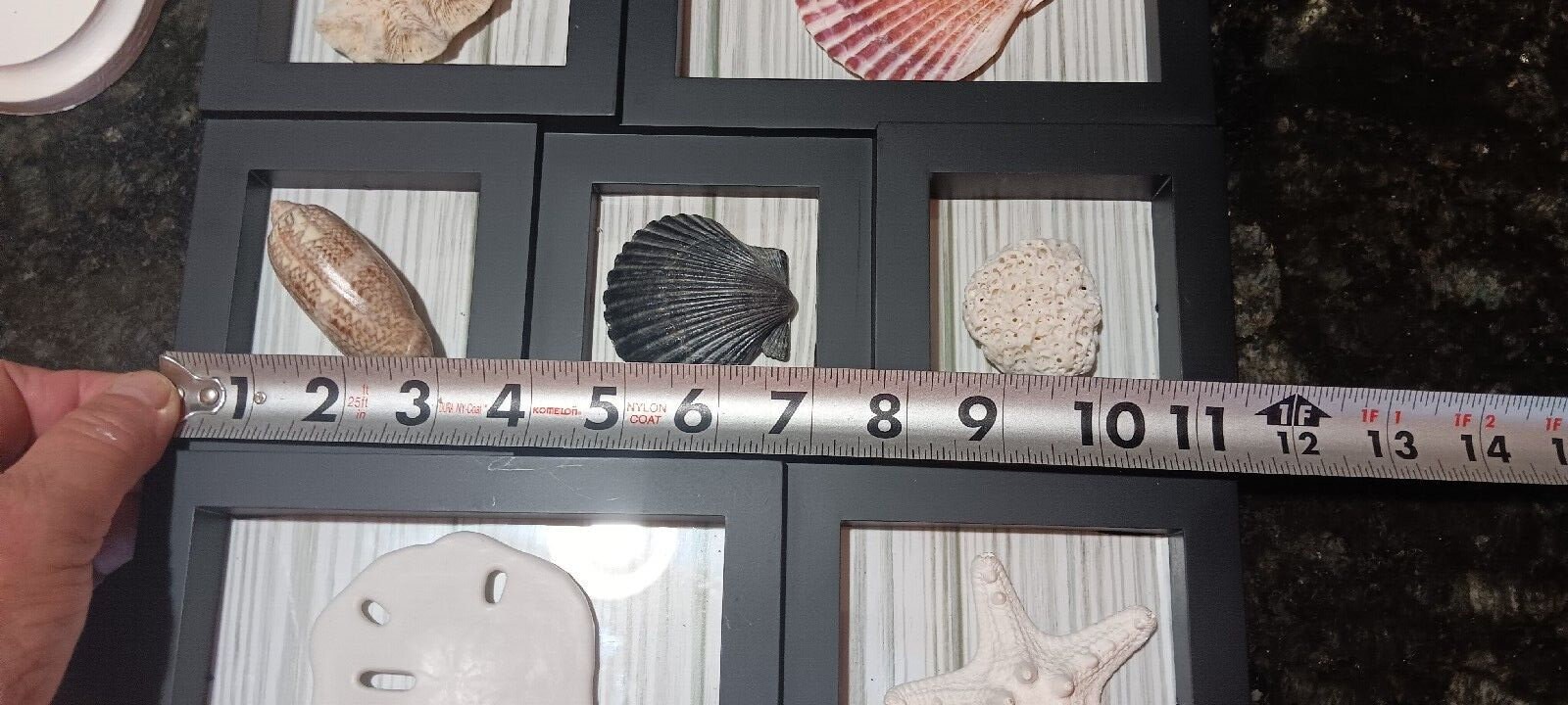 Seashell Shadow Box Ocean Art Decor Real & Faux Shells Hanging or ...