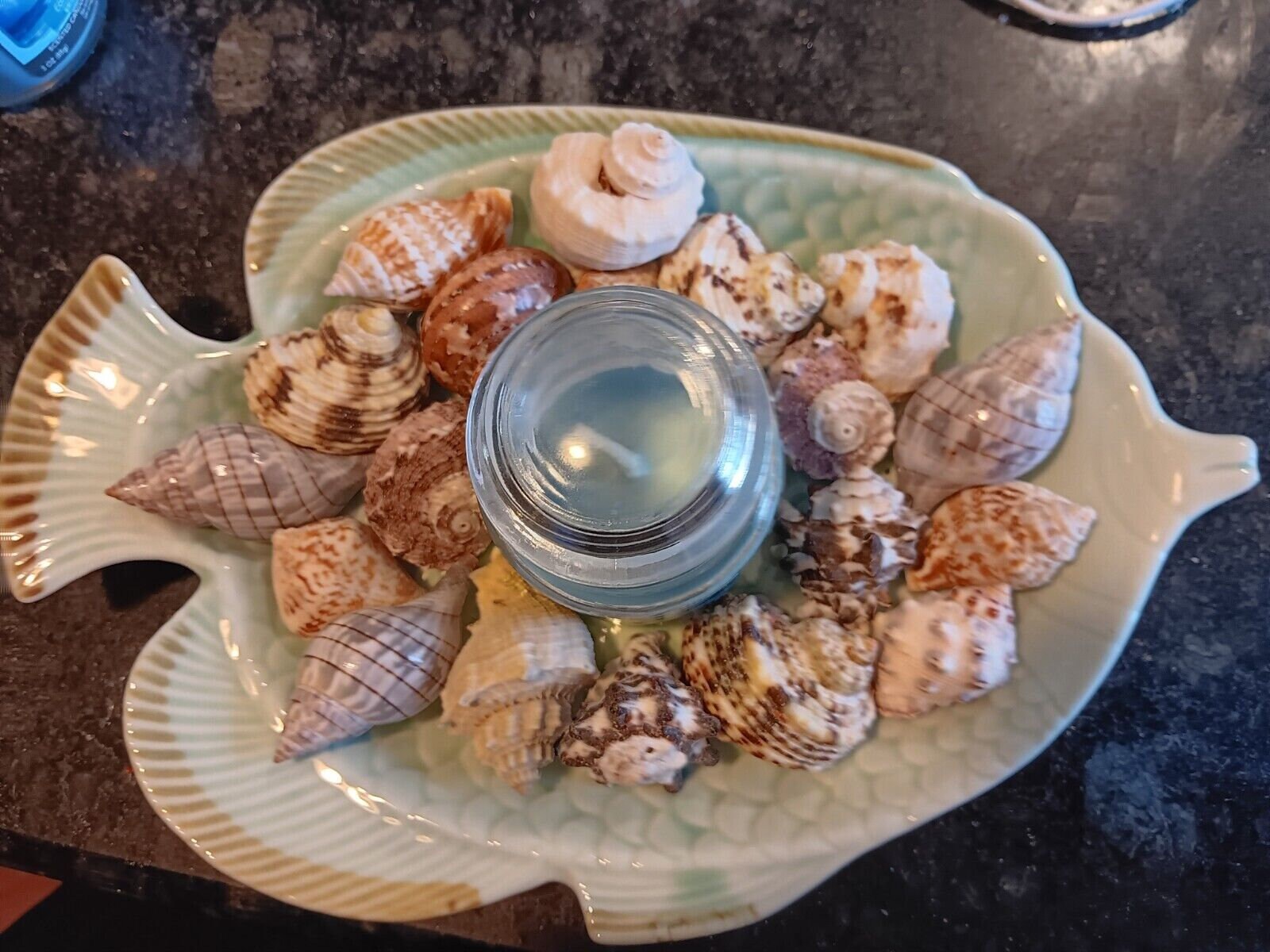 Light Green Ceramic Fish Dish W/ Unique Sea Shells, Candle OOAK NEW - Etsy