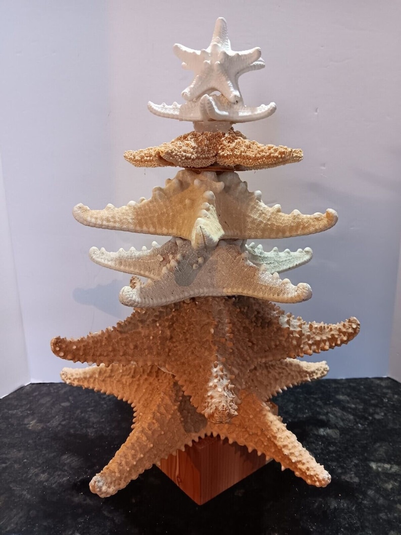 Large Knobby Star Fish Christmas Tree on Cedar Block - Etsy