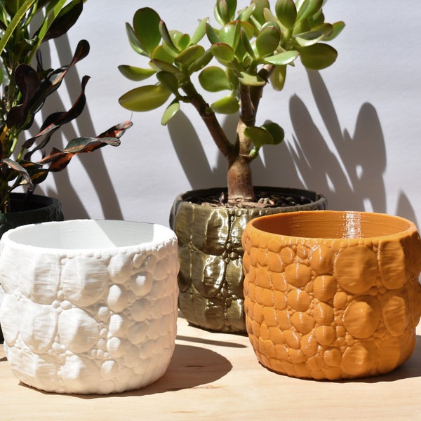 Alligator Planter - Etsy