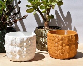 Alligator Planter - Etsy