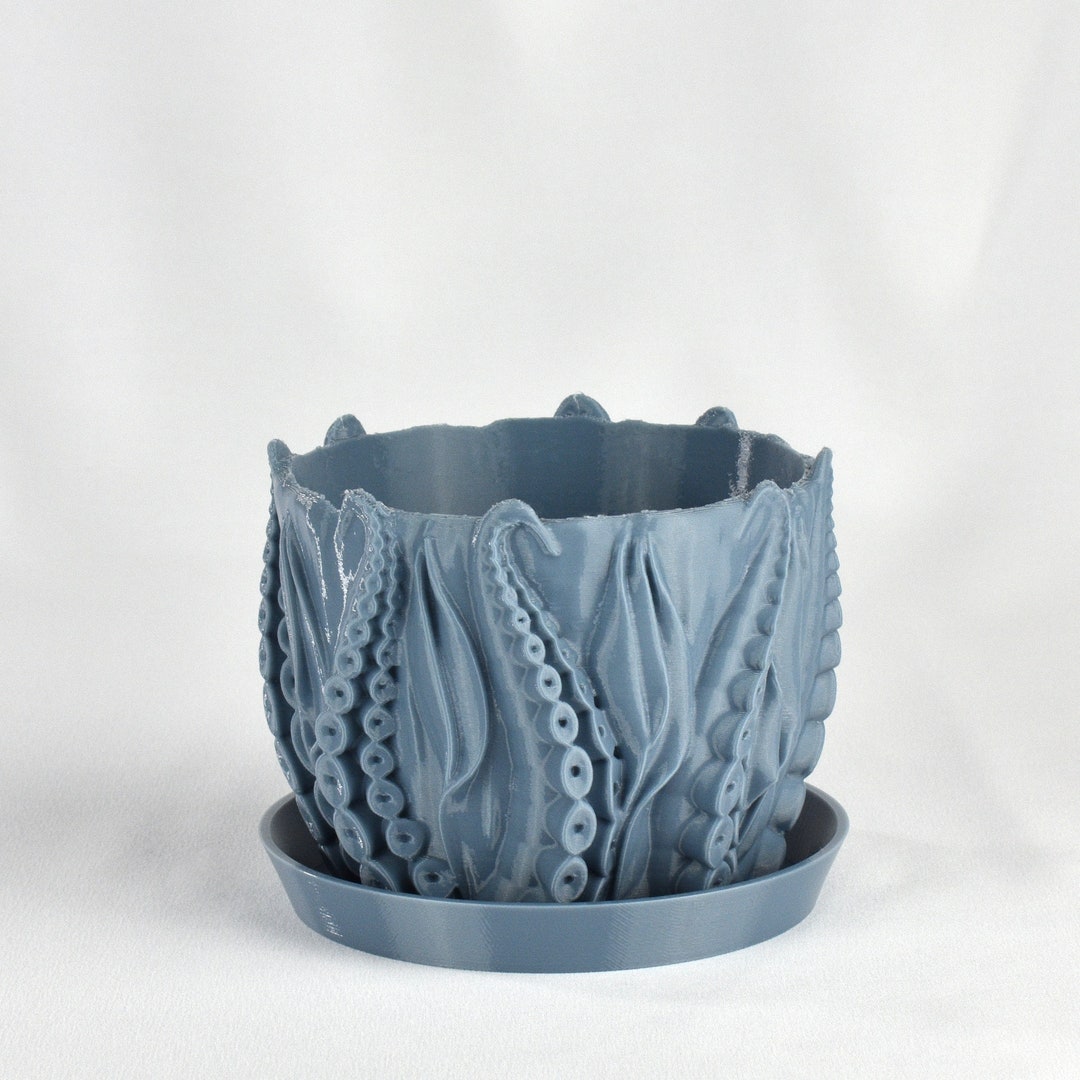 Small Octopus Tentacles Undersea Planter, Gray Blue, 4-inch Pot - Etsy