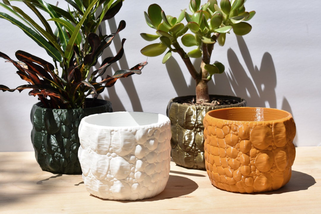 Small Alligator Planter Pot, Multiple Colors, 4.5-inch - Etsy