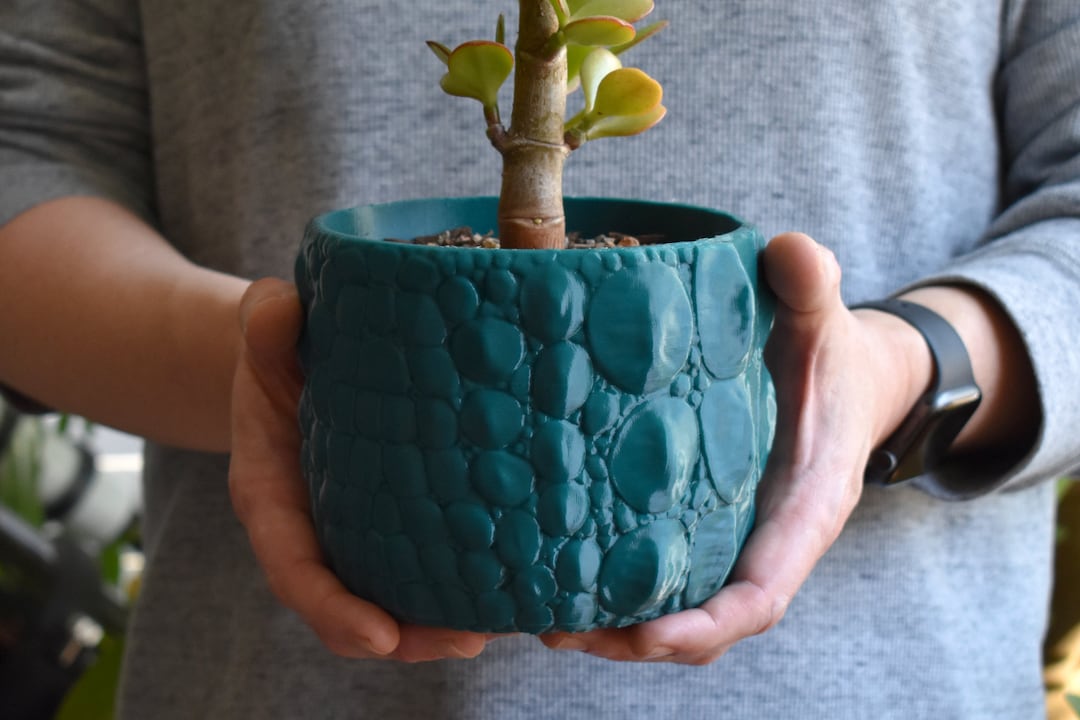 Medium Alligator Reptile Planter Decor, 6-inch Pot, Multiple Color ...