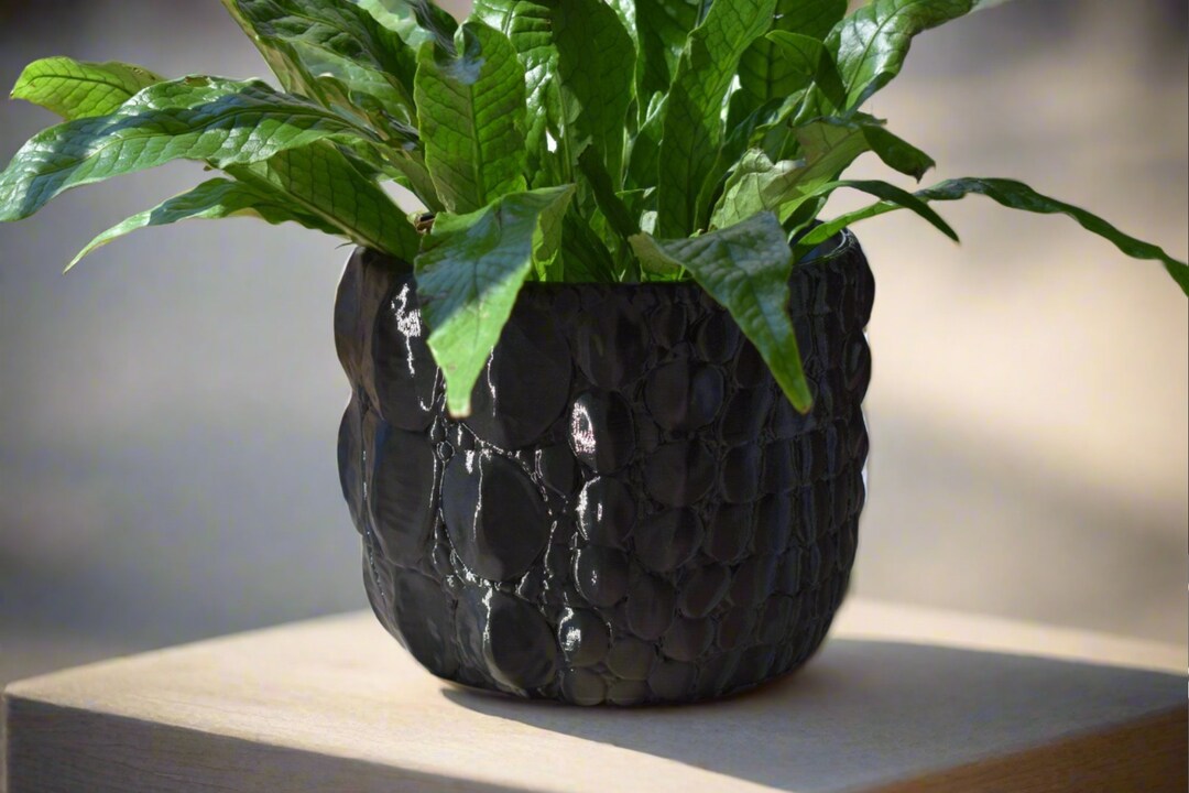 Large Alligator Reptile Planter Decor, 8-inch Pot, Indoor/outdoor ...