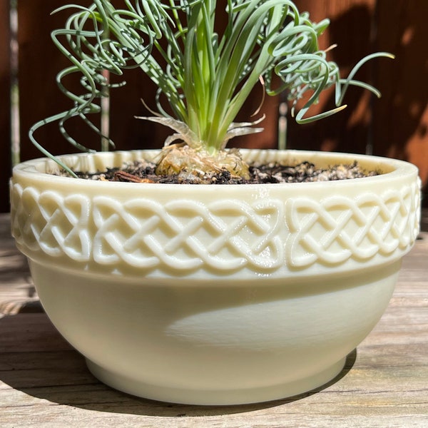 Irish Planter - Etsy