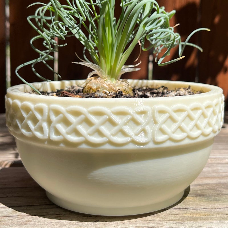Irish Planter - Etsy