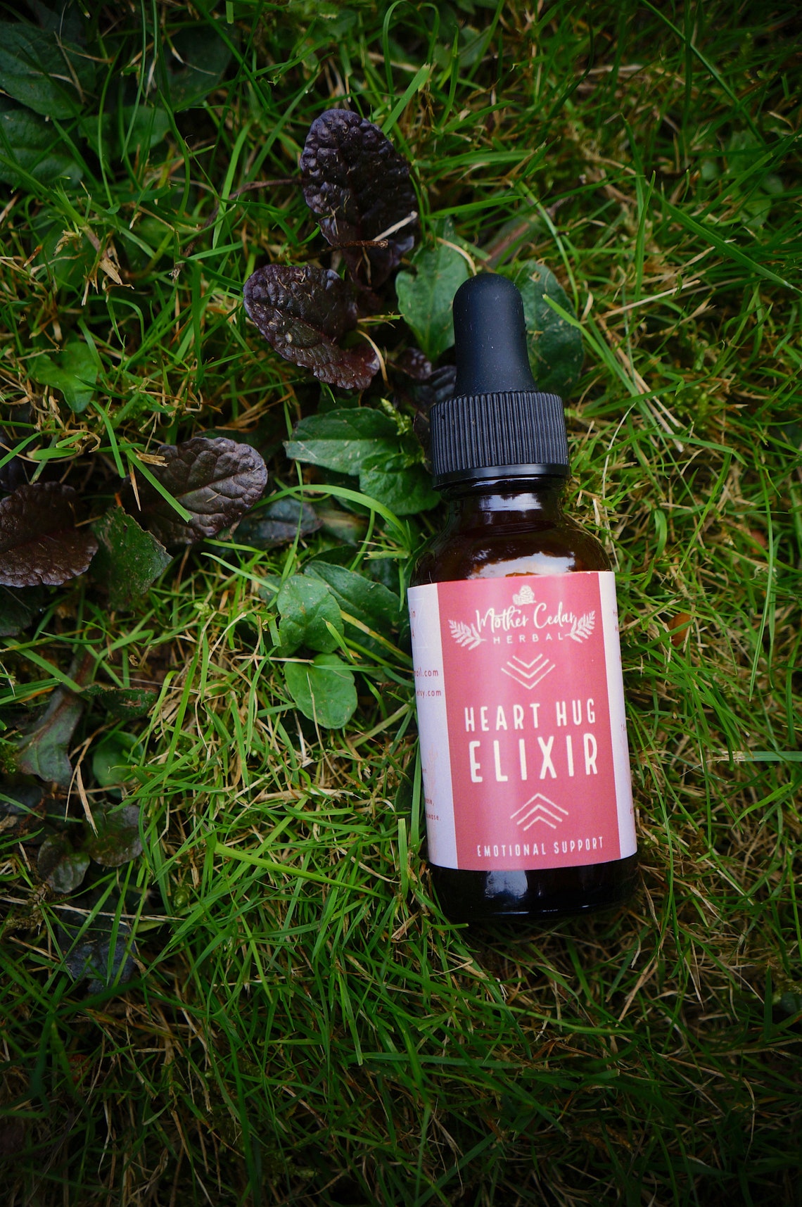 HEART HUG Emotional Support Elixir, Organic Herbal Tincture, Heart ...