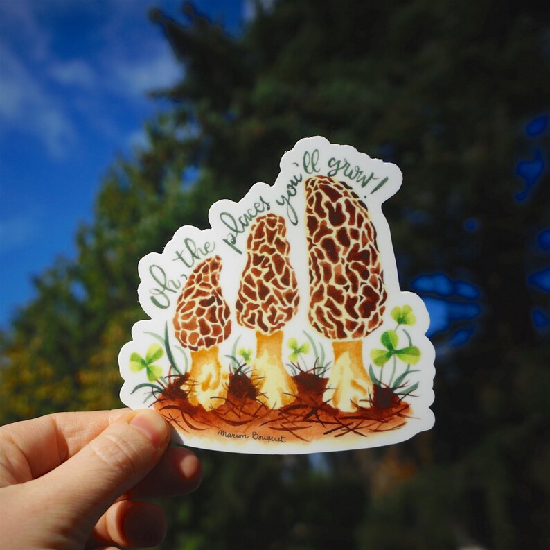 MOREL STICKER Vinyl Mushroom Sticker Bumper Sticker Very - Etsy