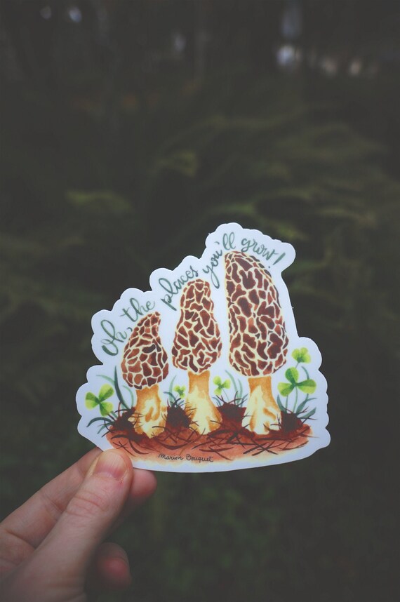 MOREL STICKER Vinyl Mushroom Sticker Bumper Sticker Very - Etsy
