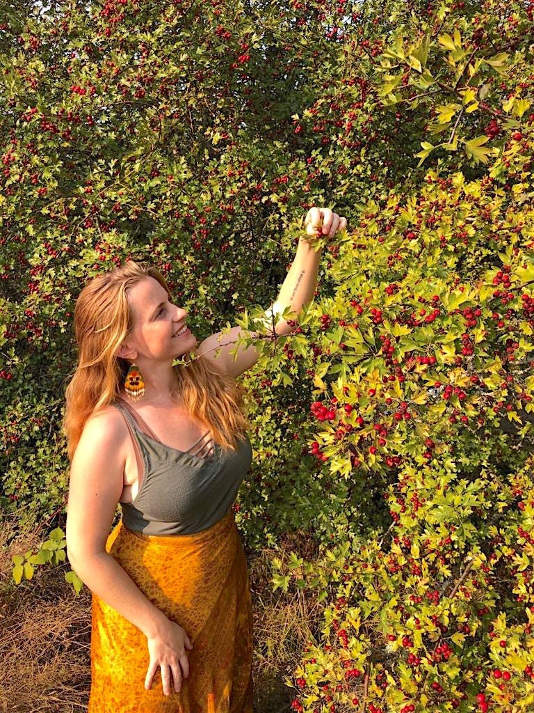 HEART HUG Emotional Support Elixir, Organic Herbal Tincture, Heart ...