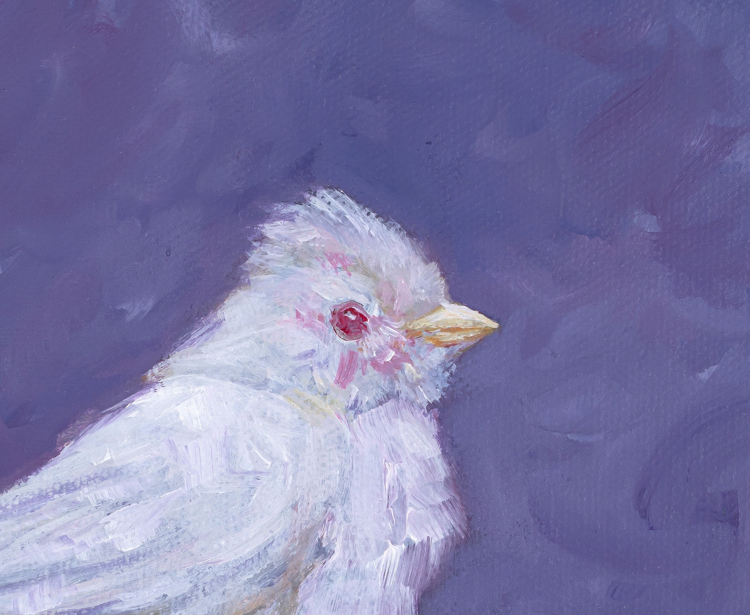 Ghost Bird // Fine Art Print 8x8 // pájaro albino - Etsy España