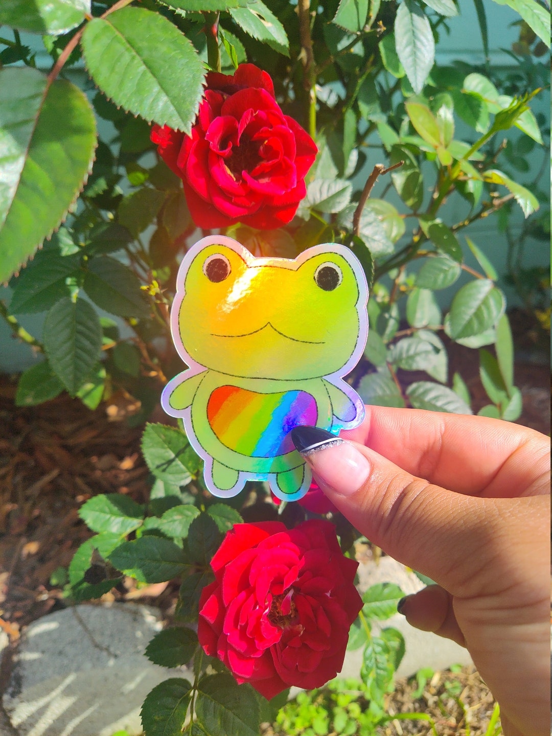 Rainbow Frog Holographic Waterproof Vinyl Sticker Cute Frog Sticker ...