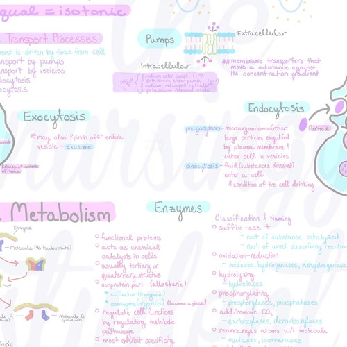 MCAT Comprehensive Biochemistry Metabolic Pathway Study Guide | Etsy MCAT Comprehensive Biochemistry Metabolic Pathway Study Guide | Etsy