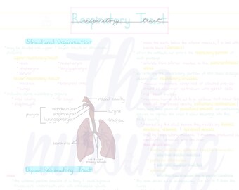 Chest Tubes, Respiratory Nursing Notes, Nursing Study Sheet ...