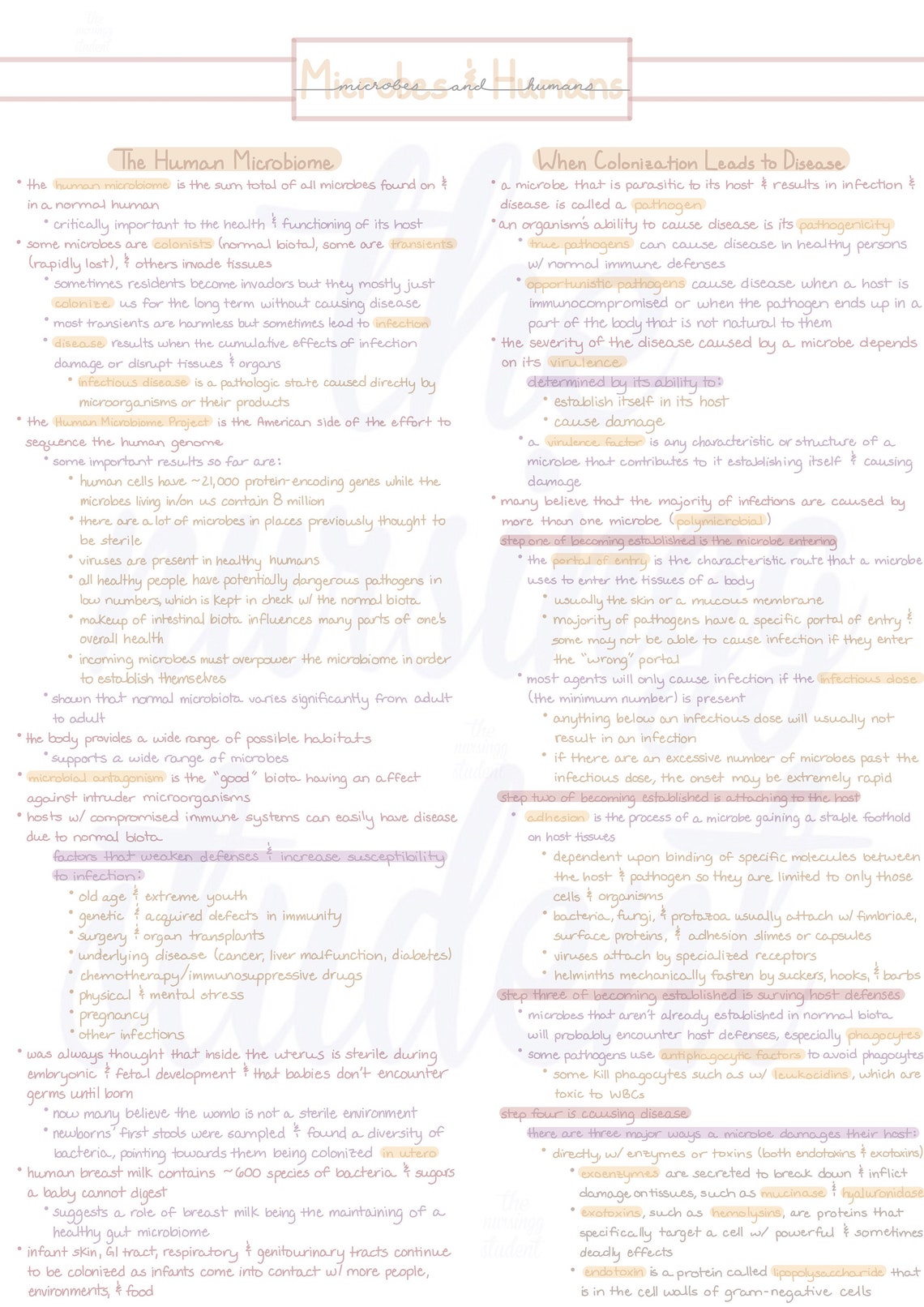 Digital Microbes and Humans Notes - Etsy