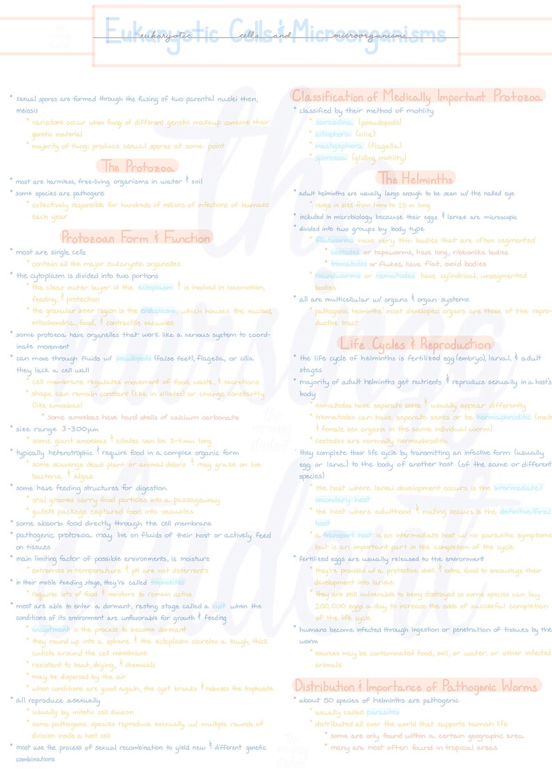 Digital Eukaryotic Cells and Microorganisms Notes - Etsy