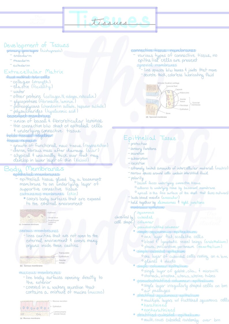 Digital Tissues Notes - Etsy