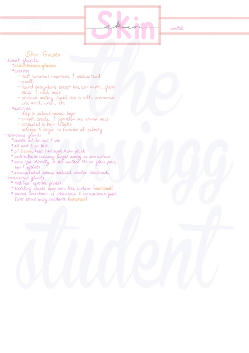 Digital Skin Notes - Etsy