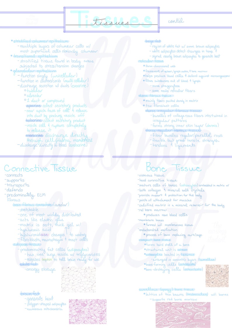 Digital Tissues Notes - Etsy