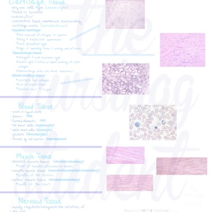 Digital Tissues Notes - Etsy