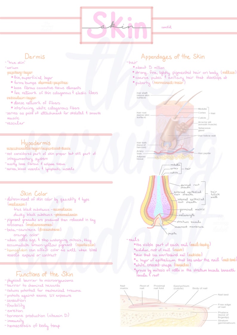 Digital Skin Notes - Etsy