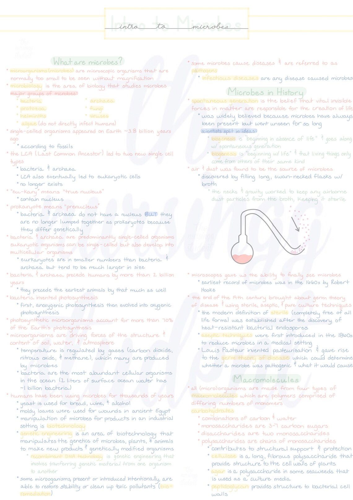 Digital Intro to Microbes Notes - Etsy