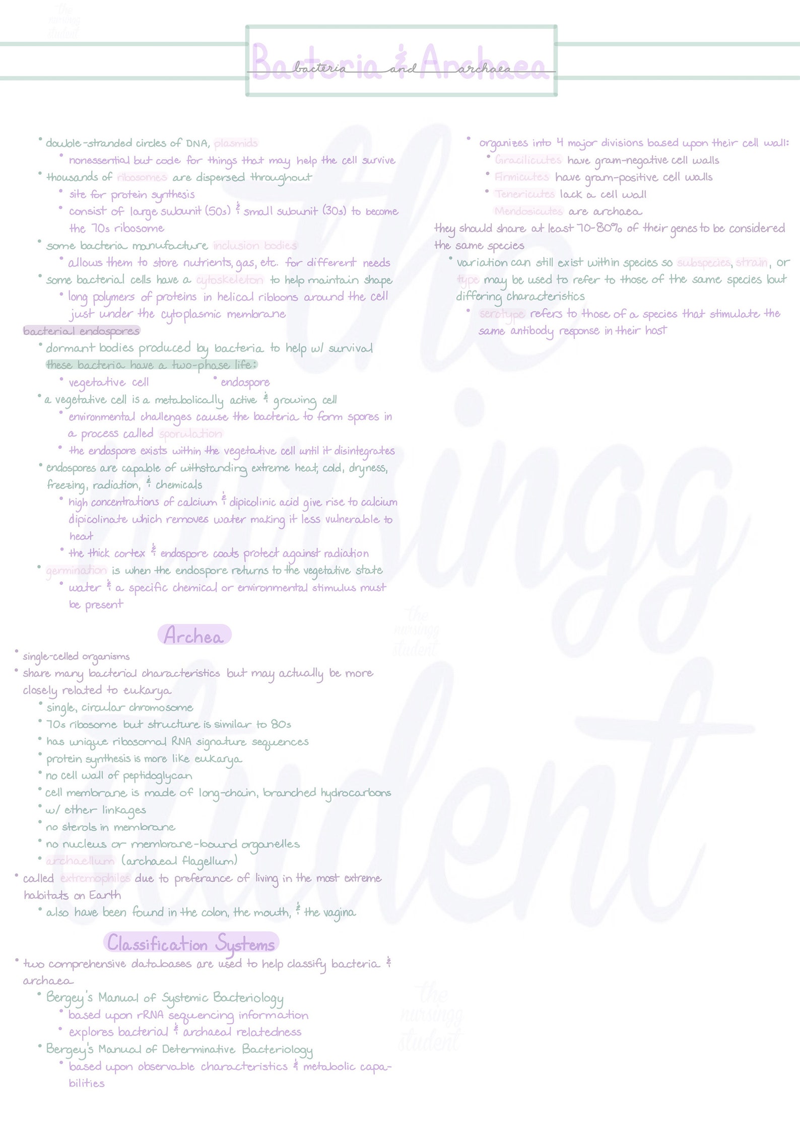 Digital Bacteria & Archaea Notes - Etsy