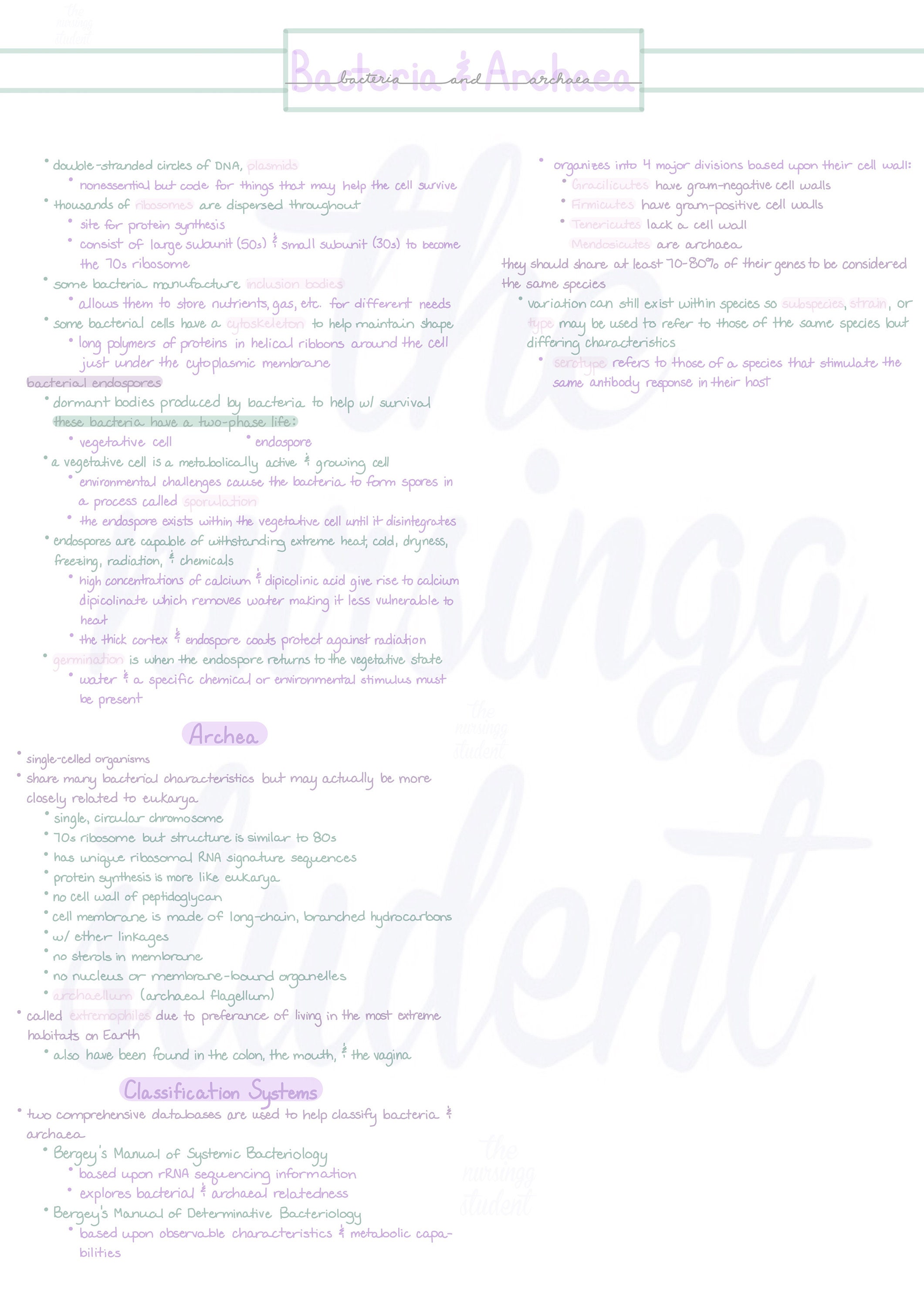 Digital Bacteria & Archaea Notes - Etsy