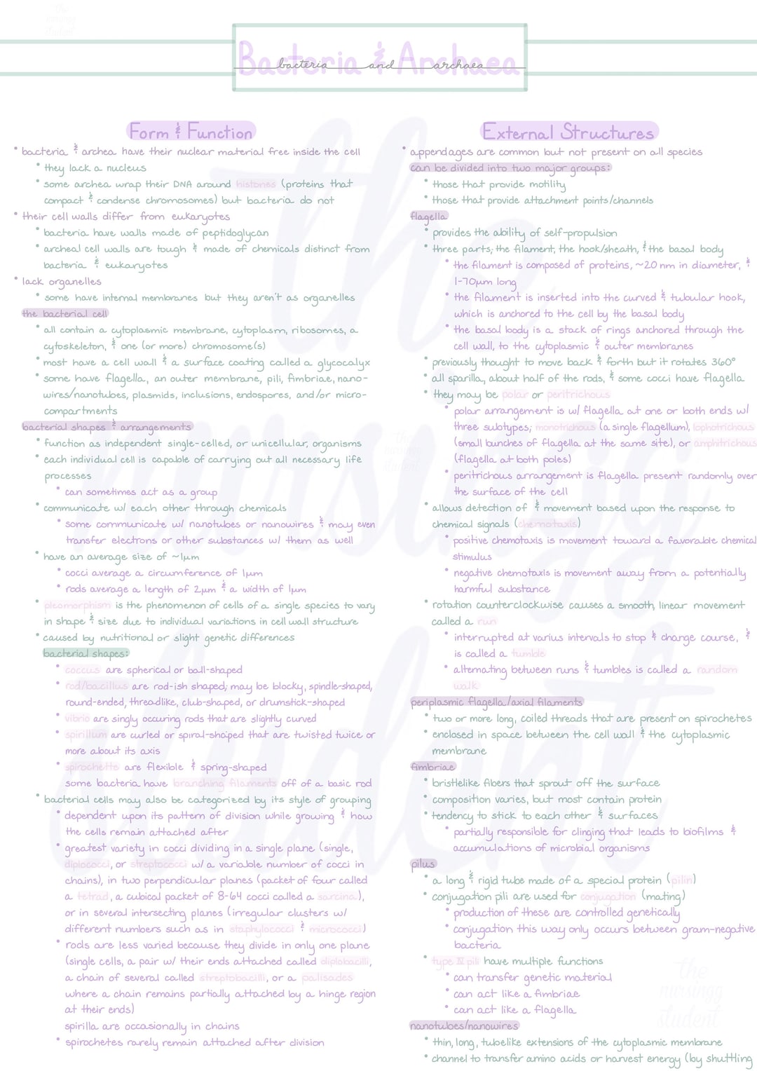 Digital Bacteria & Archaea Notes - Etsy