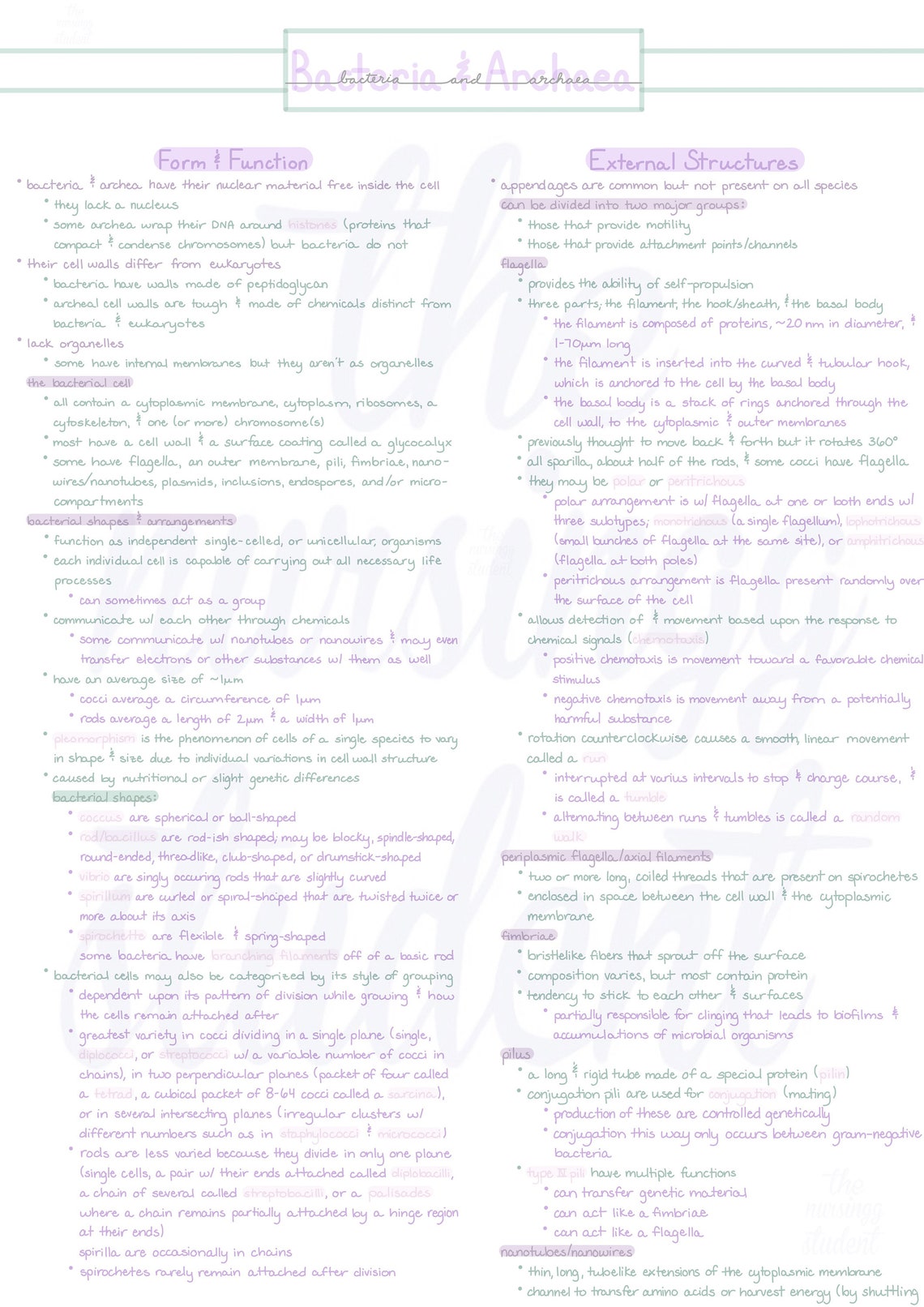 Digital Bacteria & Archaea Notes - Etsy