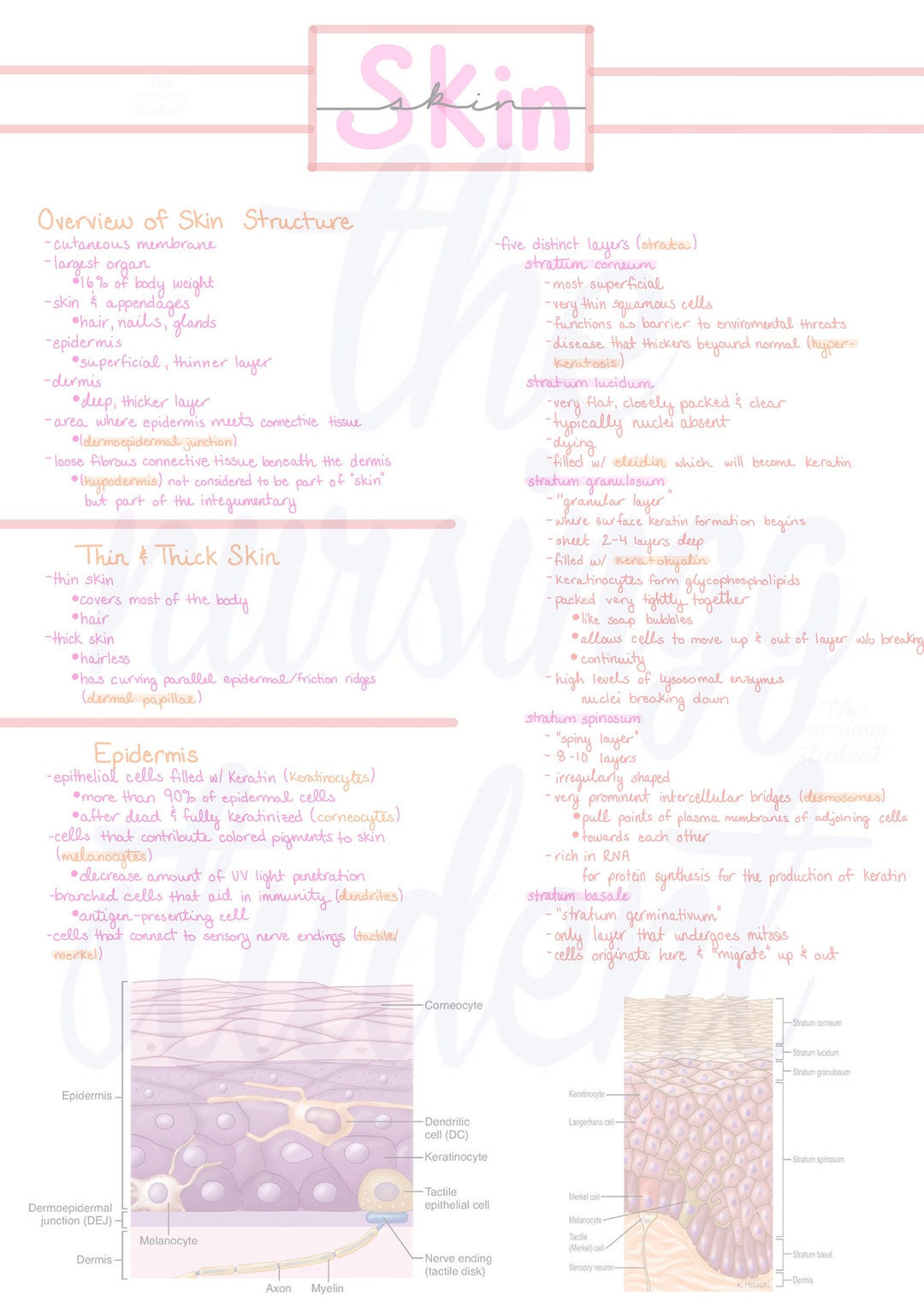 Digital Skin Notes - Etsy