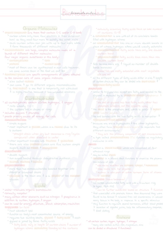 Digital Biomolecules Notes - Etsy