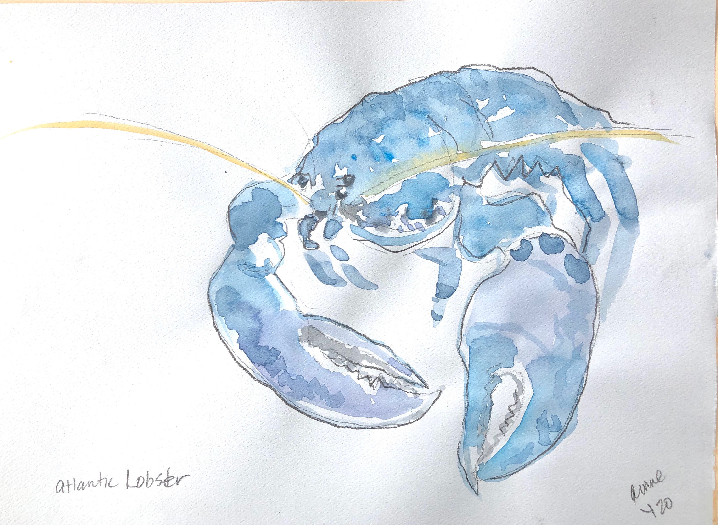 Atlantic Ocean Drawing