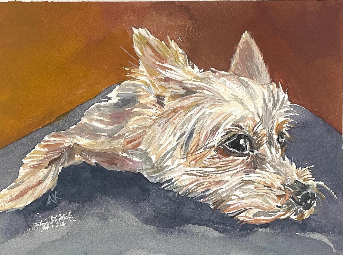 Teacup Yorkie Original Gouache Pet Portrait Dog Painting - Etsy