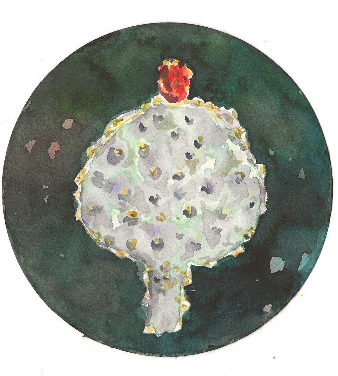 Nopal With Cactus Flower, Original Round Watercolor Painting - Etsy