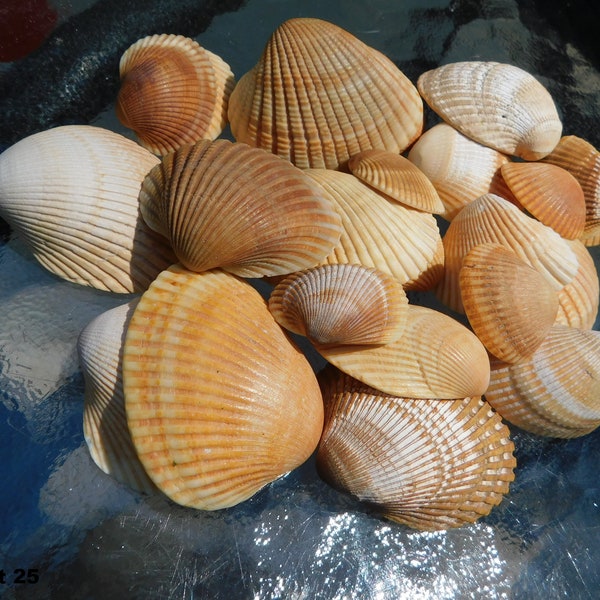 SEHCraftPieces - Etsy