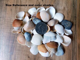 SEHCraftPieces - Etsy