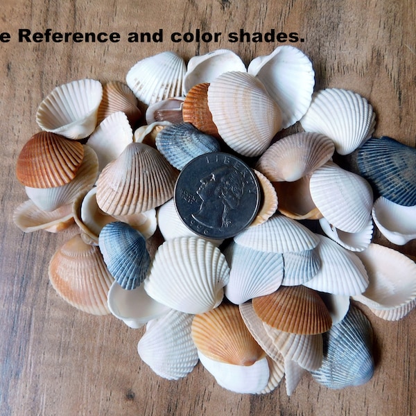 SEHCraftPieces - Etsy