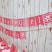 Birthday Girl Personalized Banner: Pink and Red Girl Party Items ...