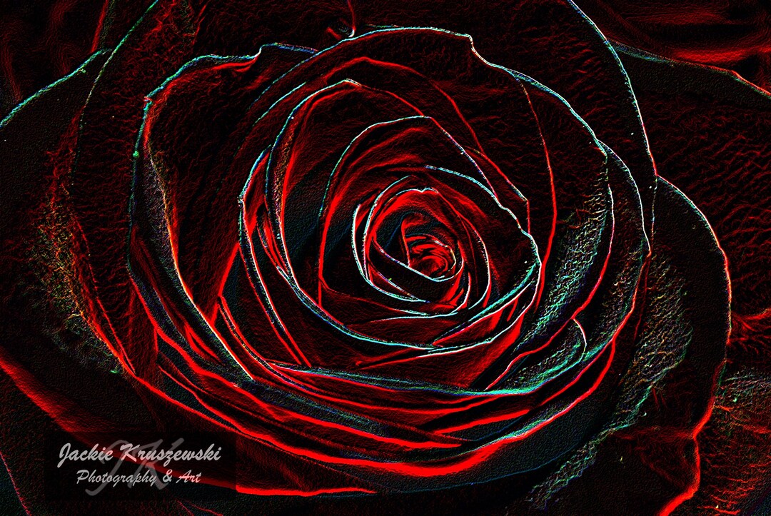 Neon Rose Photography Edit Nature Red Rose - Etsy