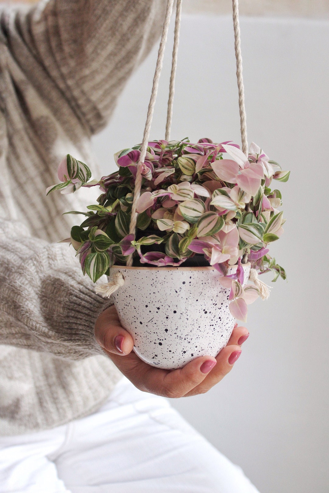 White Speckled Hanging Planter Indoor, Air Plant Holder, Wall Planter ...