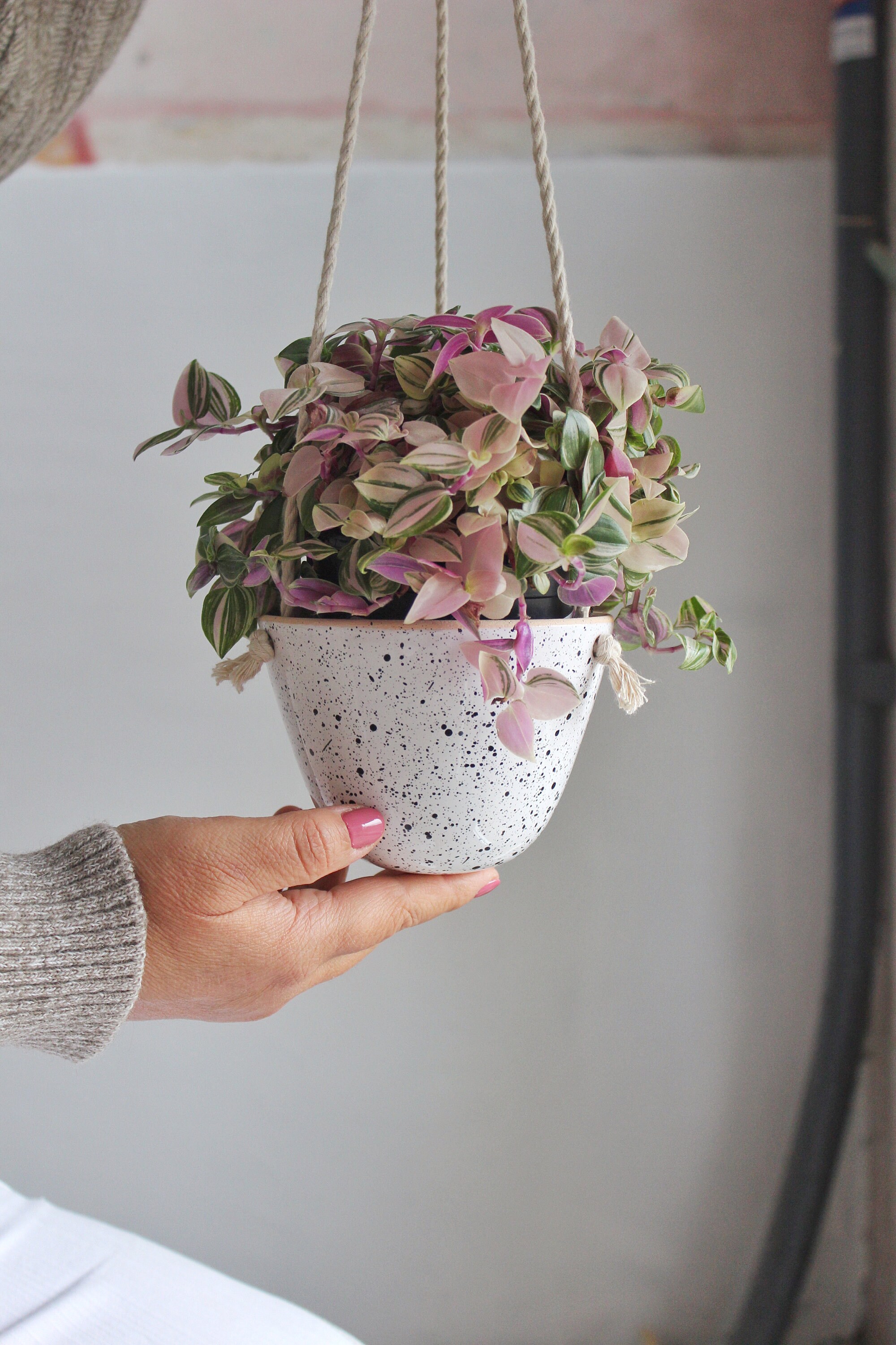 White Speckled Hanging Planter Indoor Air Plant Holder Wall | Etsy