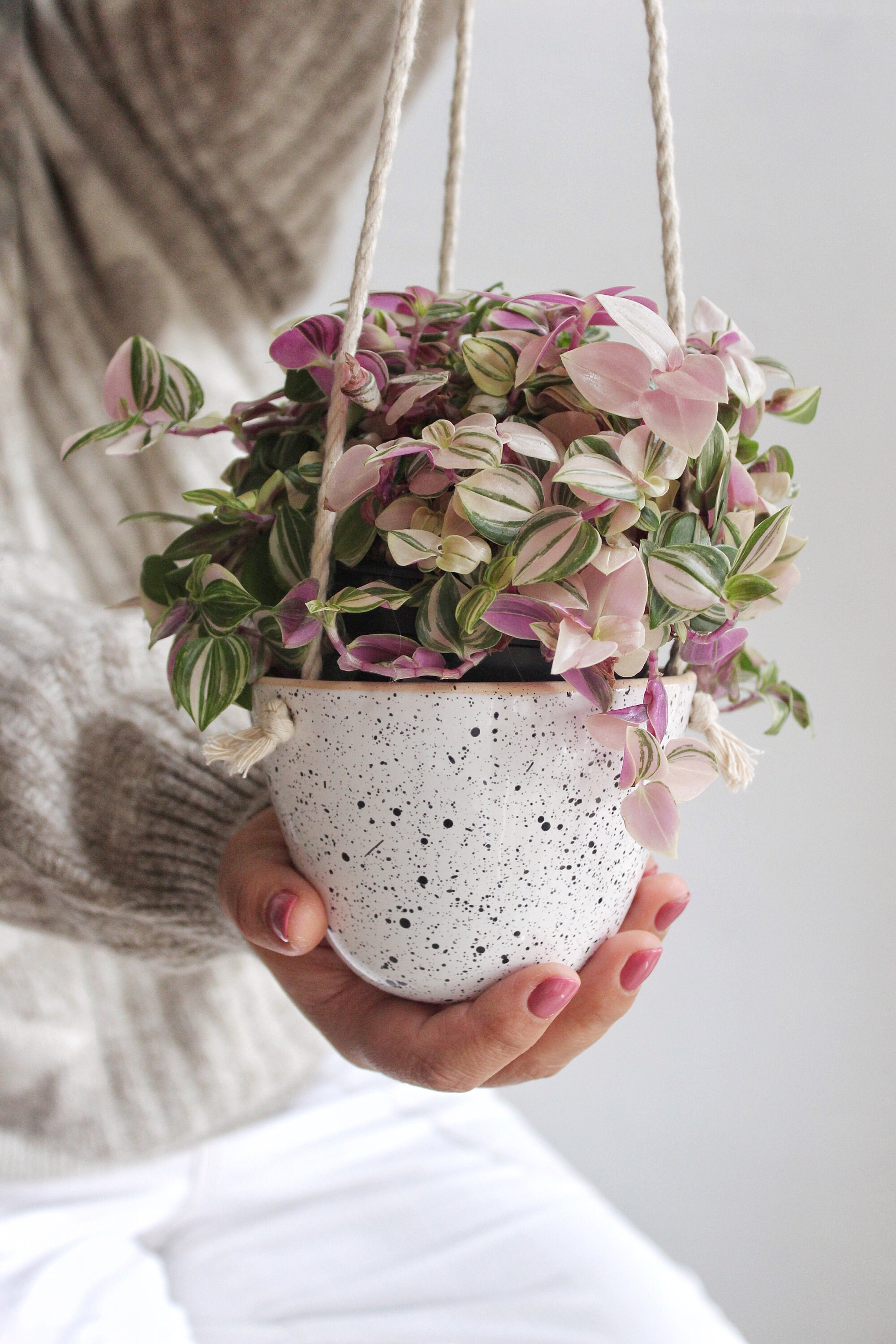 White Speckled Hanging Planter Indoor Air Plant Holder Wall | Etsy