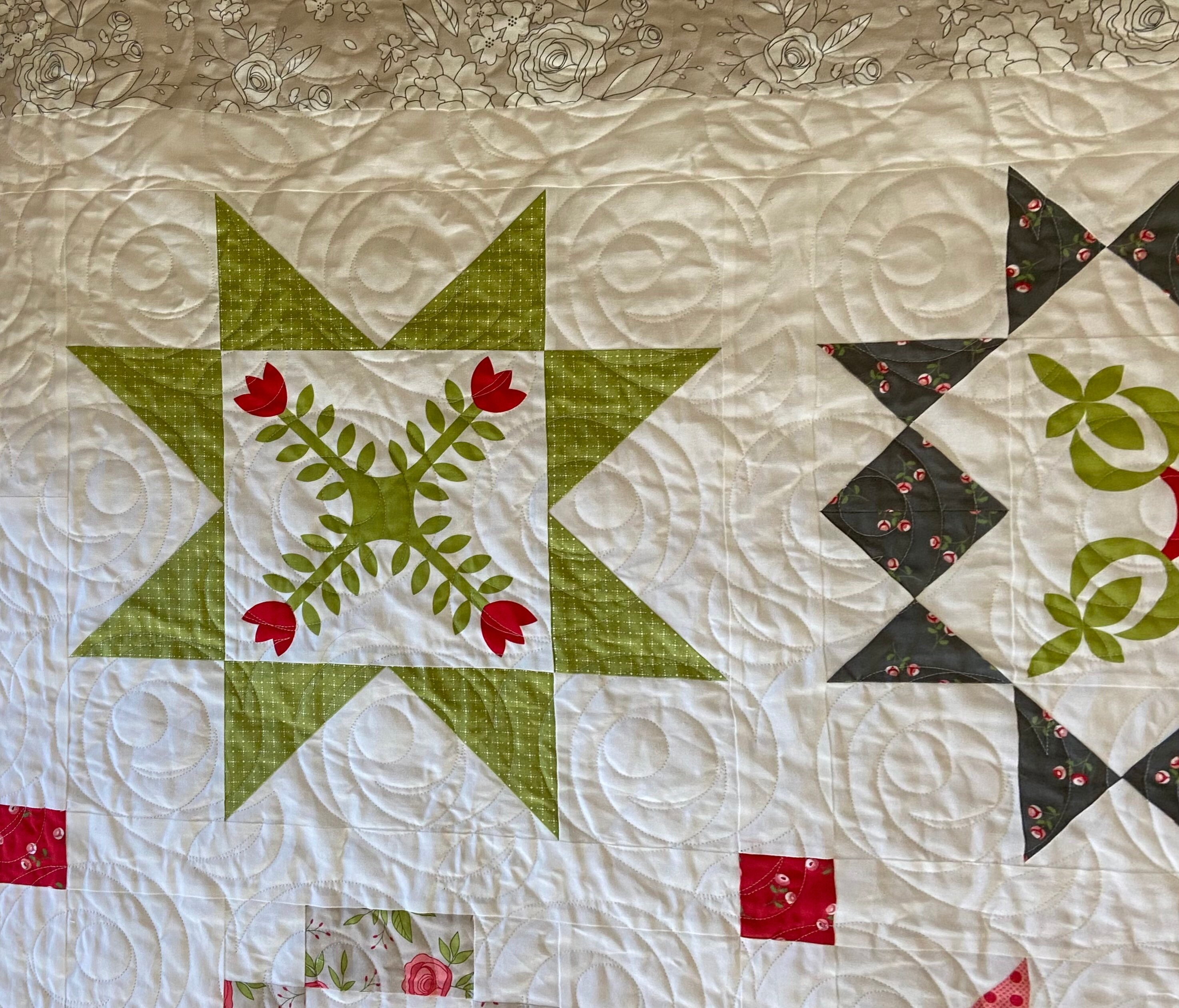 Beautiful Day Quilt Queen Size Quilt Corey Yoder - Etsy