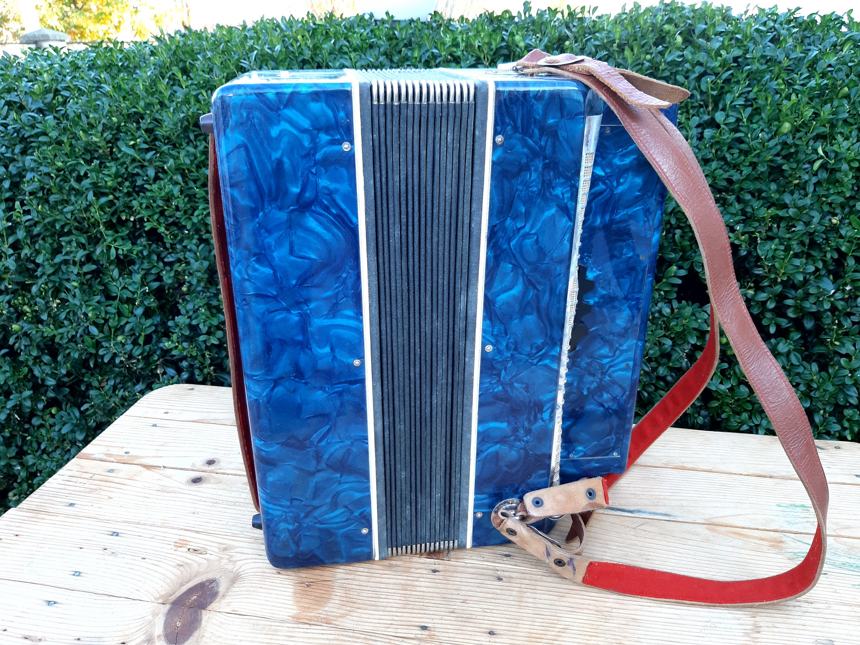 Ukraine Garmon Button Accordion Harmonica Made in Ukraine - Etsy