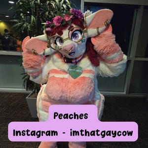 Custom Fursuit Name Tag – Large Solid Resin Tag, Made to Order - Etsy