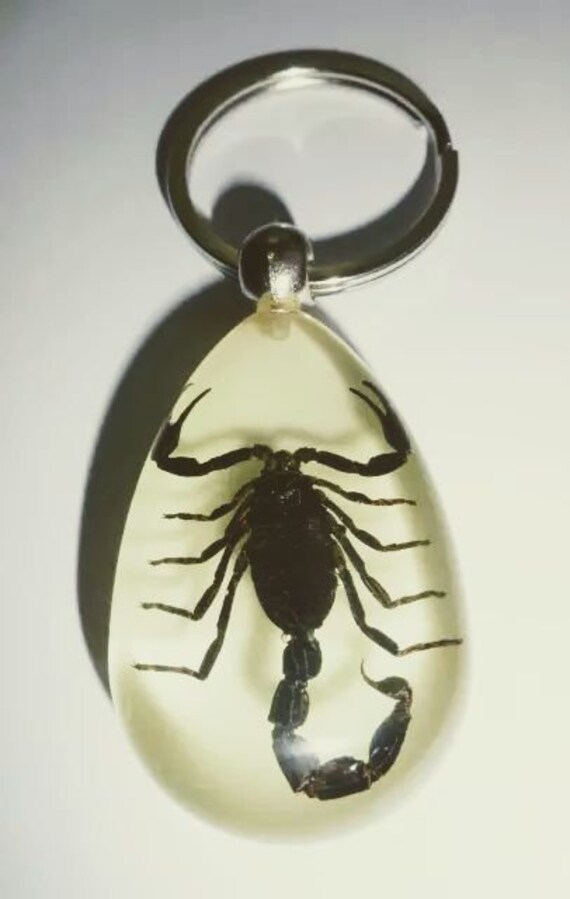 Scorpion Glow in the Dark Key Chain | Etsy